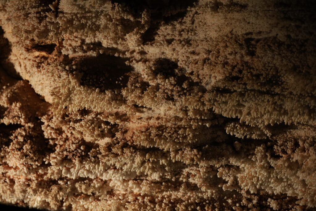 Wind Cave National Park: Review and Photos - Jetsetting With US